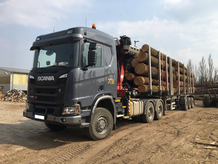 Wholesale of wood, haulage